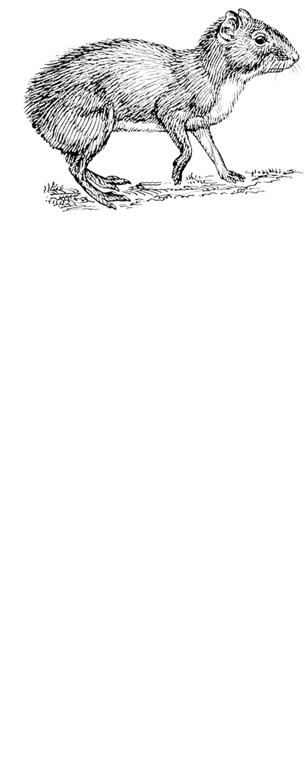 Magazine | Modern Adventure