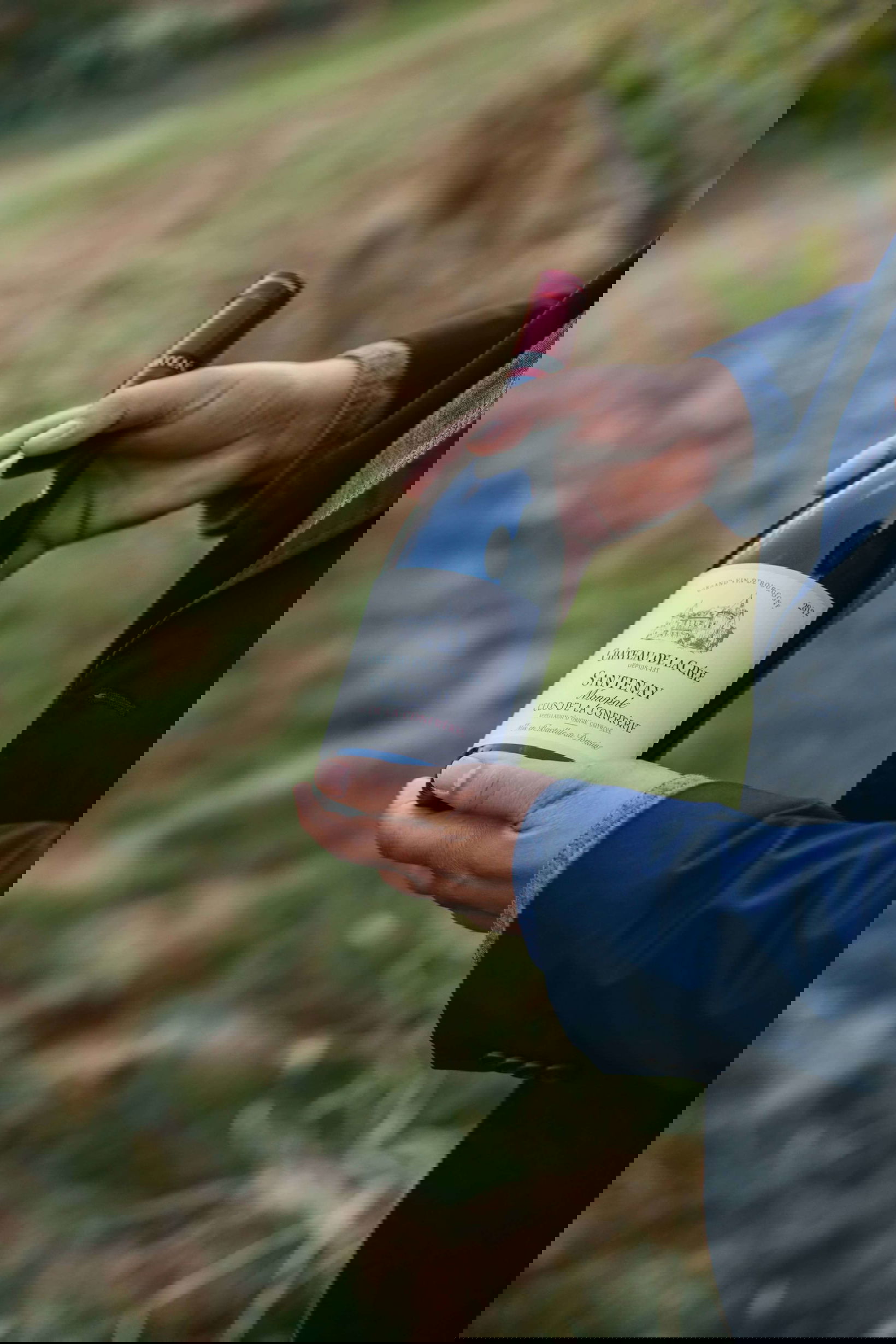 France Luxury Travel & Tours | Modern Adventure