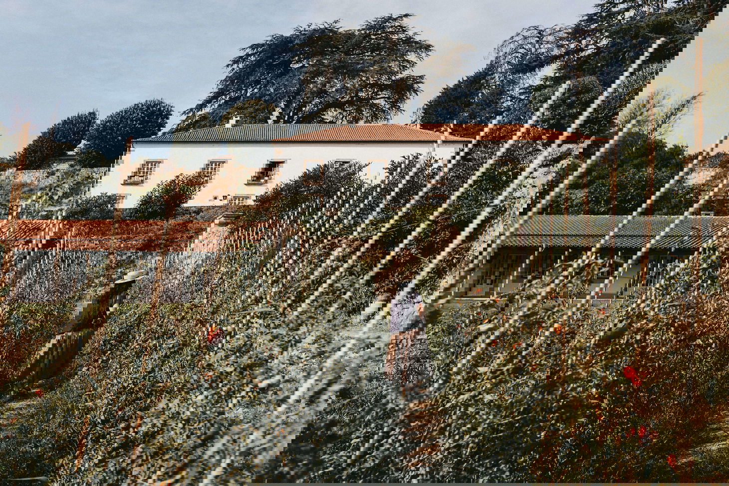 Portugal Tours with Modern Adventure