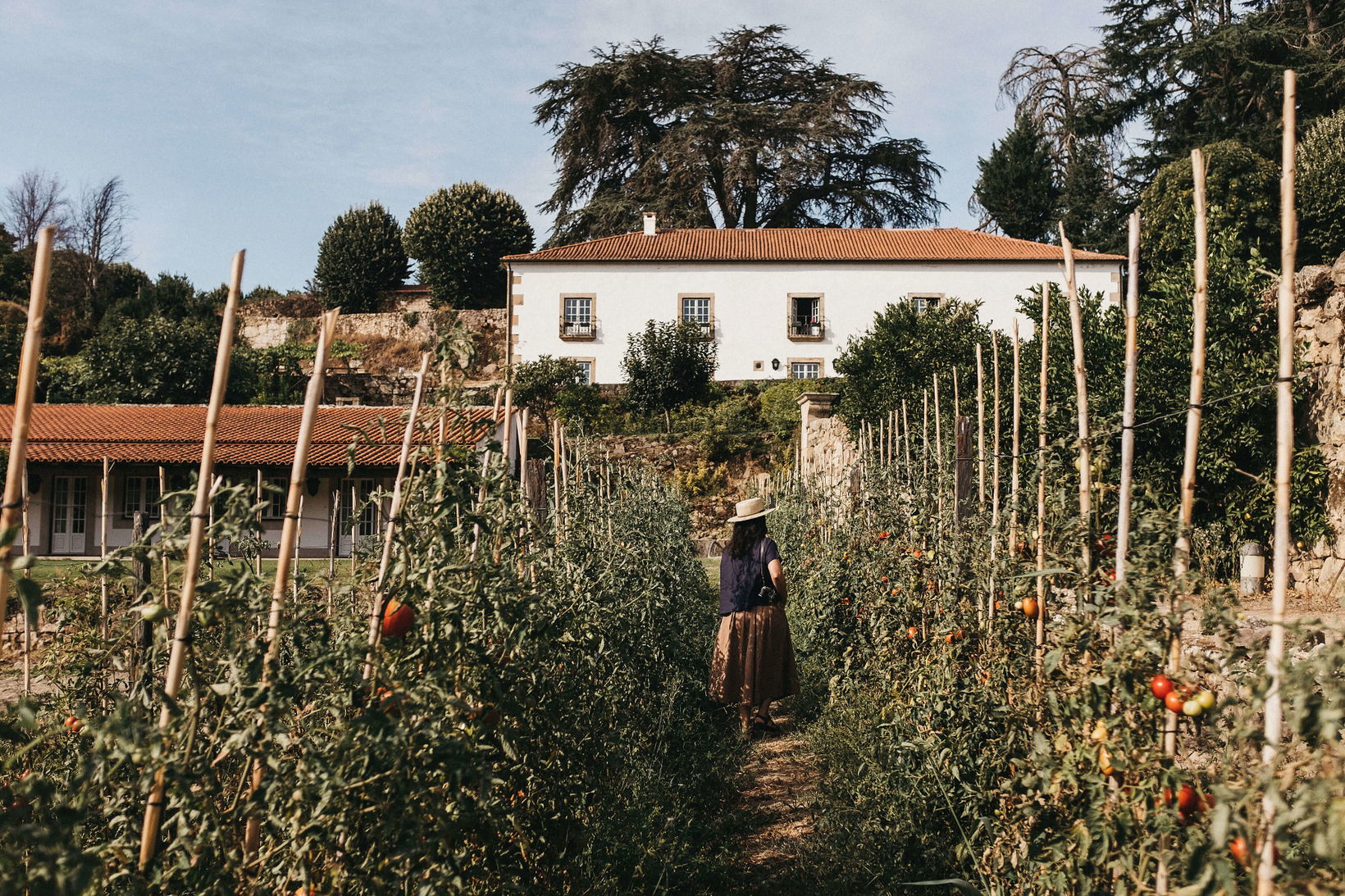 Portugal Luxury Travel & Tours | Modern Adventure