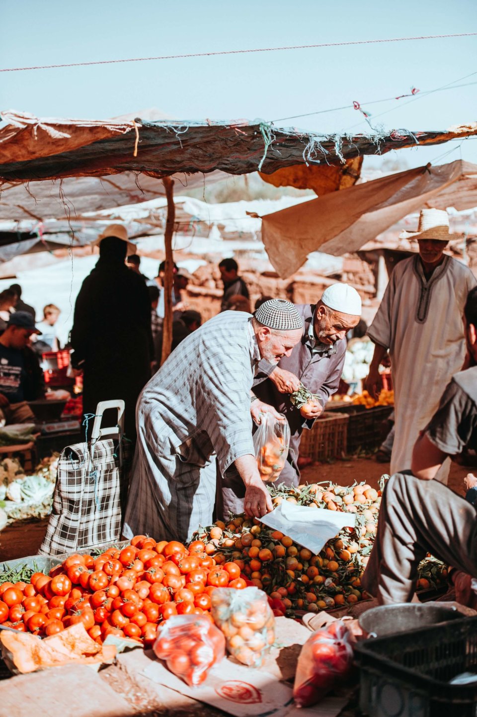 A Culinary Experience Through the Marrakech Market