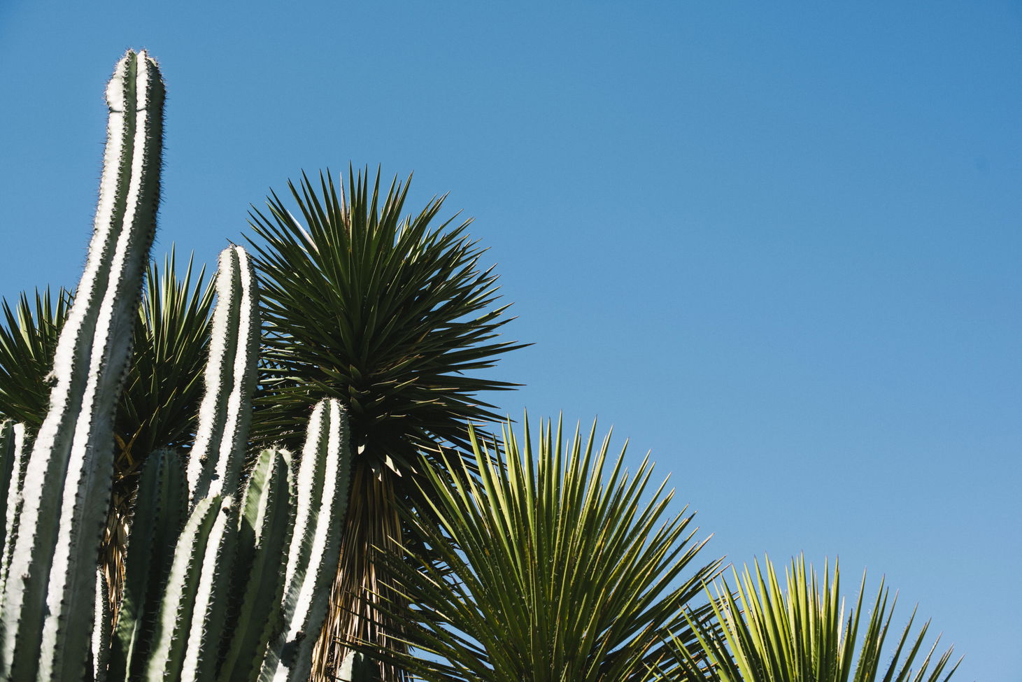 Mexico City Food Tour with Fany Gerson