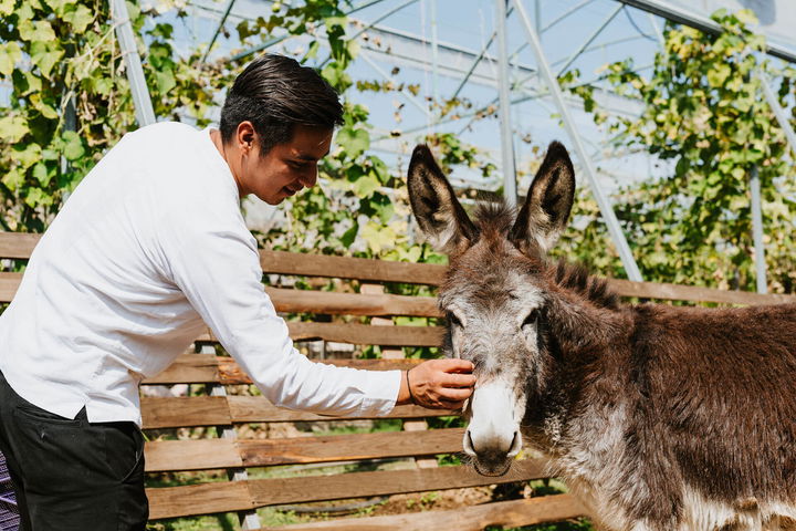 Oaxaca Tour with Chef Steven Molnar