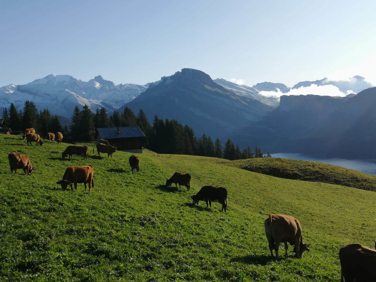 French Alps - Grand Traverse from Mont Blanc to the Mediterranean