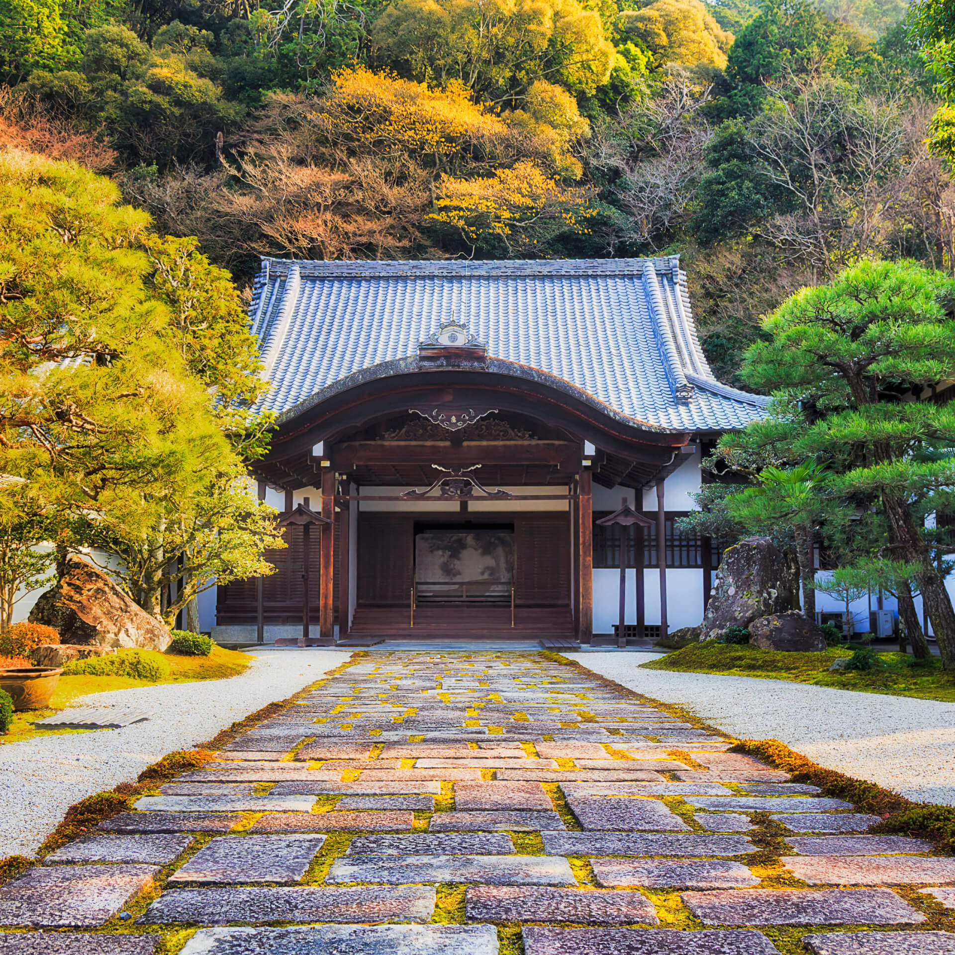 SingleThread Japan | Paragon