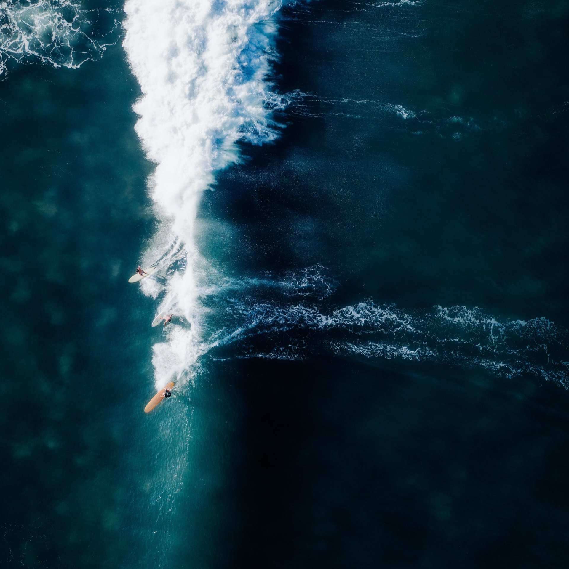 Japan with Travis Rice | Paragon