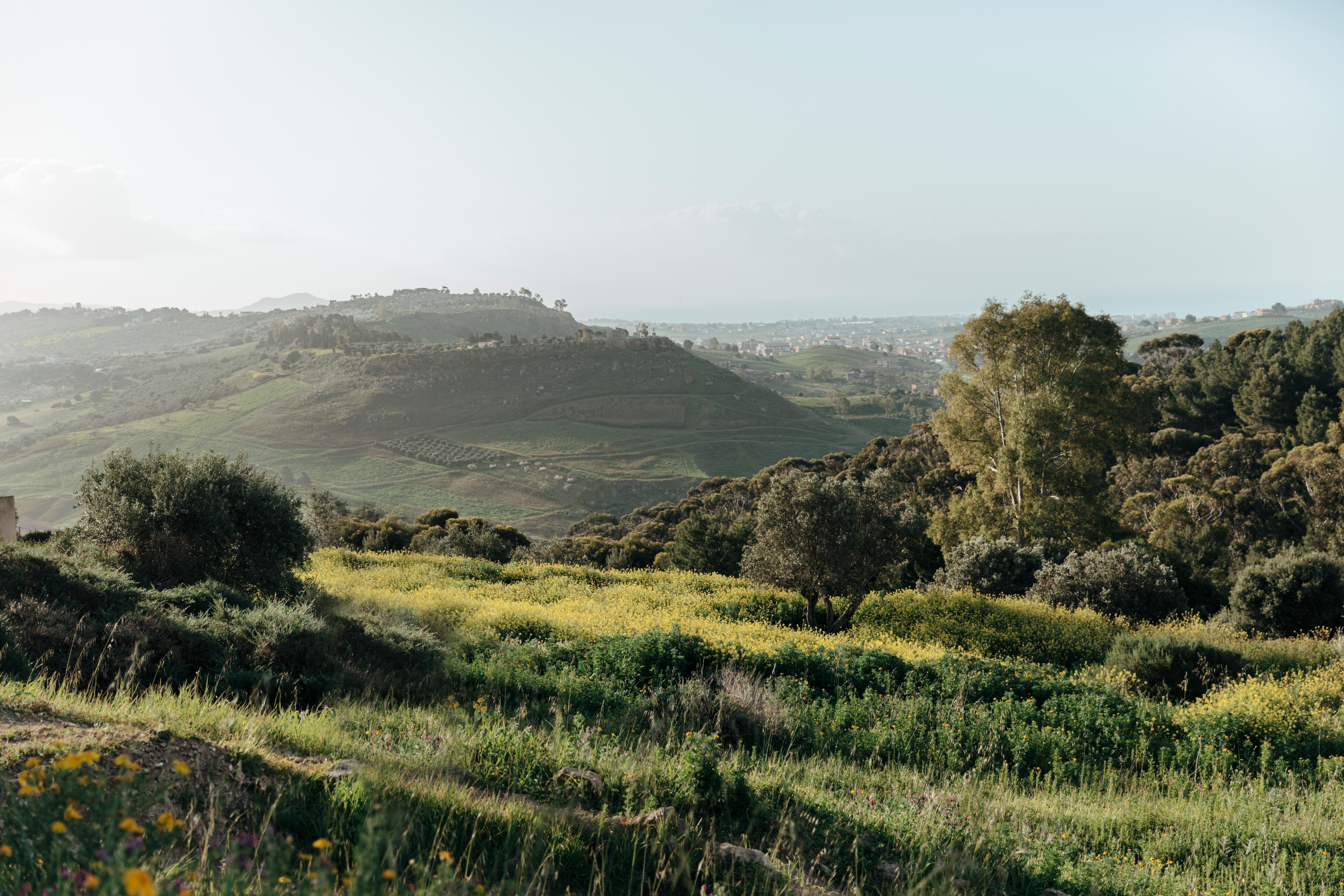 Sicily Wine Tour with Melissa Kelly