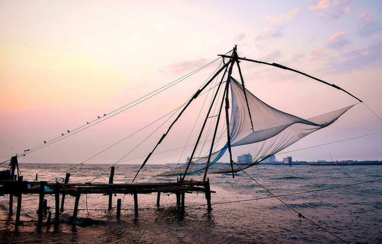 Southern India Culinary Tour with Vish Mayekar