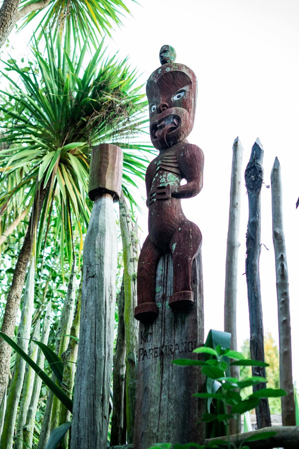 A Taste of New Zealand Culture Through Local Cuisine